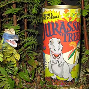 Mini Tree Growing Kit – Wrapables